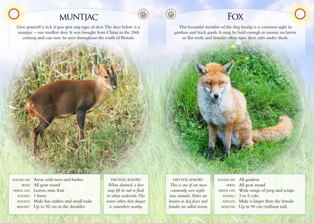 What Can You Spot In The Garden? & What Can You Spot In The Woods ...